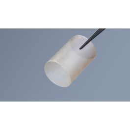 JOINT Freeze Dried Washed Irradiated Epifix 16 MM Disk Amniotic Human ...