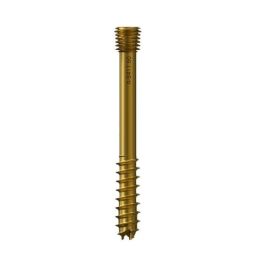 Aptus 7.0 Ccs Screw 110MM Hd25 Pack of 1 | AHP Ortho