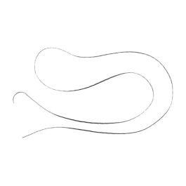 Arthrex Suturetape 1.3 MM Suture Black/White With Circle Needle Pack of ...